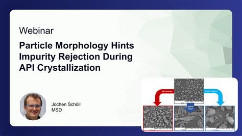 Particle Morphology Hints Impurity Rejection During Api Crystallization