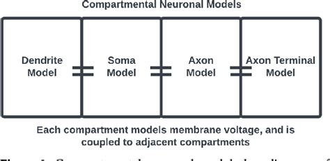 Figure 1 From From Brain Models To Robotic Embodied Cognition How Does