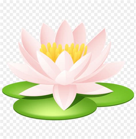 Water Lily Clipart