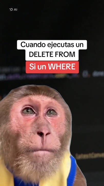 Cuando Se Va Un Delete From Sin Un Where 😭 Programming Programmer Dev Informatica Youtube