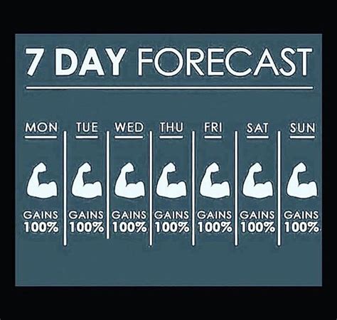 Gym Rat Workout Humor Gym Humor Gym Humour