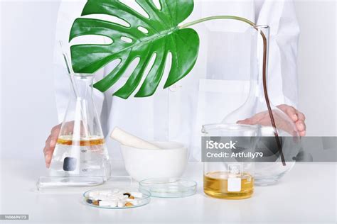 대체 약초 실험실 치유 식물 허브와 박격포 천연 유기 식물학 및 과학 유리 제품 천연 스킨 케어 미용 제품 연구 개발 개념 35 39세에 대한 스톡 사진 및 기타 이미지