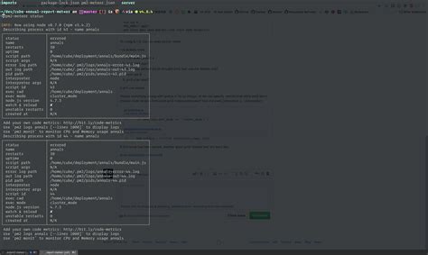 Can I Set Pm2home To Run Multiple Pm2 Instances With Cluster Mode