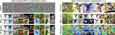 figure 1 from spurious features everywhere large scale detection of