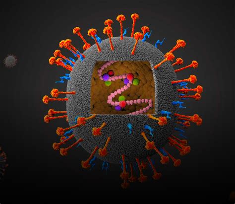 Nipah Virus Infection Causes Symptoms Prevention Treatment