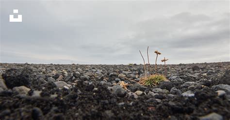 낮에는 바위 위를 날아다니는 갈색과 흰색 새가 사진 Unsplash의 무료 회색 이미지