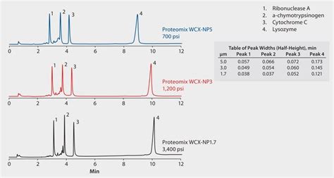 HPLC Analysis Of Proteins By Cation Exchange On Proteomix WCX Affect Of Particle Size