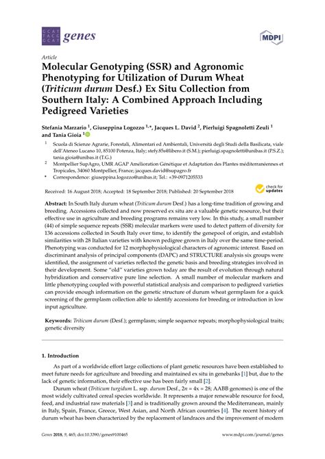 Pdf Molecular Genotyping Ssr And Agronomic Phenotyping For Utilization Of Durum Wheat