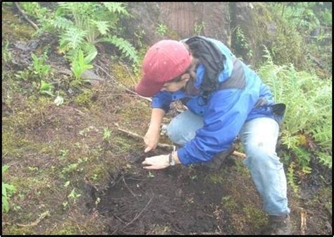 ¿por Qué Nos Hemos Olvidado De Los Suelos Entrevista A Helena Cotler