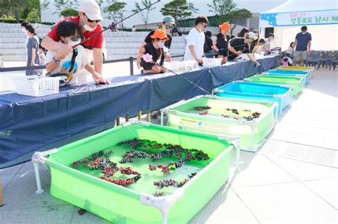 영동포도축제 문체부 주관 K 컬처 관광이벤트 100선 선정 파이낸셜뉴스