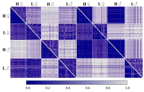 Hammings Proportional Distance Among Niveoscincus Ocellatus Download Scientific Diagram