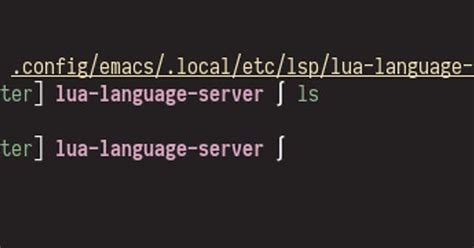 Doom Emacs Failing To Install Lua Lsp Server Cant Findextract Zip