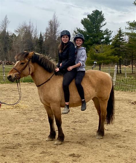 École Le Tremplin Added A New Photo École Le Tremplin