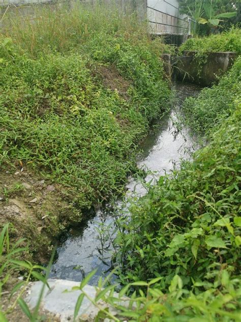 Dirty Drainage System Behind The Modern Residential Building Stock