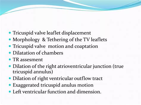 Ebsteins Anomaly Echocardiogram Pptx 3 D Graphics Computer Software And Applications