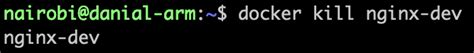 Docker Container Lifecycle Management