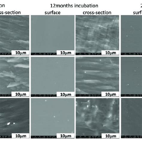 Dsc Curves Of Cf Peek Fabricated At Different Crystallization Temperatures Download