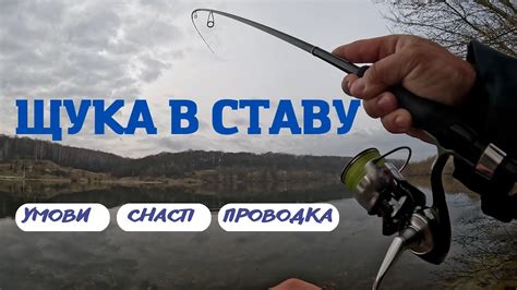 МІСЬКИЙ СТАВ ЩУК РОЗДАВ. Просто щука в селі. Весняні дослідження - YouTube