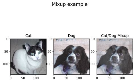 Data Augmentation Techniques For Computer Vision Cutout Mixup