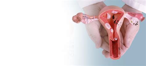 Ovarian Cancer Symptoms And Early Warning Signs Bmchrc