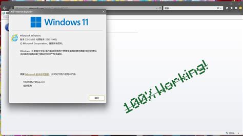 How To Open IE Browser YouTube