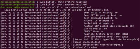 How To Flush DNS Cache On Linux Devconnected