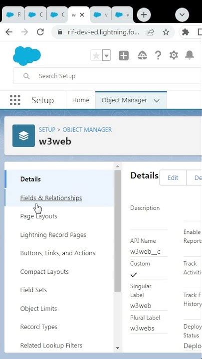 How To Create Custom Field In Salesforce Salesforce Tutorial W3web Tech W3webshorts