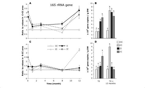 Dynamic Of The Ratios Of 16s Rdna Gene Copies G Dw Dry Weight Download Scientific Diagram