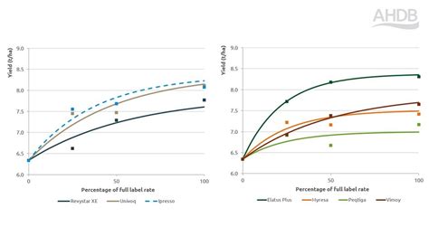 Fungicide Performance Dose Response Curves For Rusts And Fusarium In