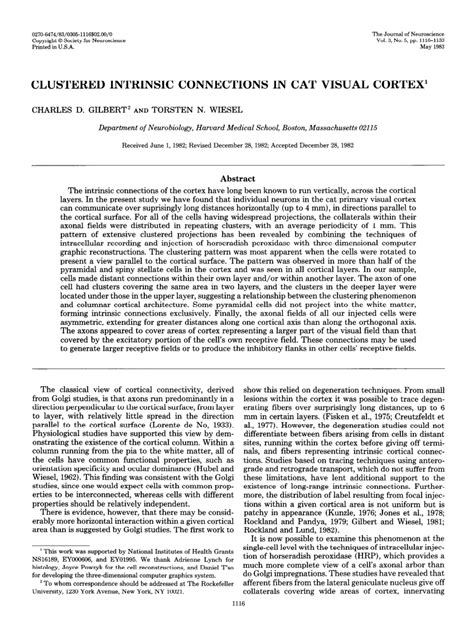 Pdf Clustered Intrinsic Connections In Cat Visual Cortex
