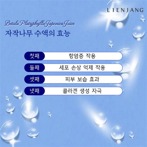 🌲자작나무 수액의 효능🌲 항염증 작용 세포 손상 억제 Lienjangcosmetics