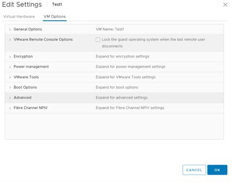 Advanced Vm Option In Settings
