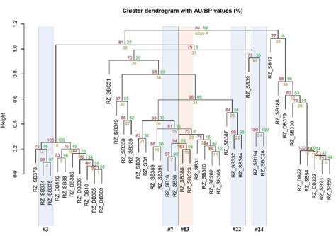 dendrogram derived from the combined analysis of 19 issr prime for 41