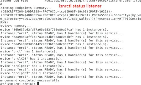 【oracle19c】数据库监听器oracle19c监听配置 Csdn博客 【oracle19c】数据库监听器oracle19c监听配置 Csdn博客