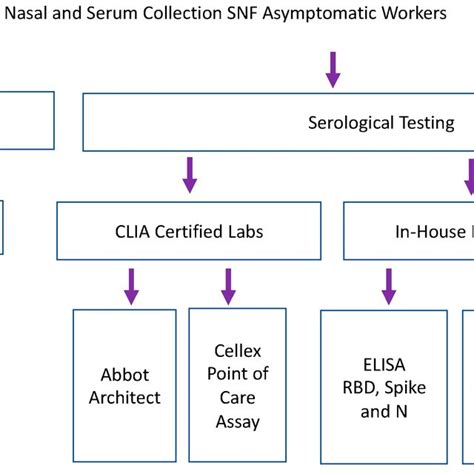 Serum Samples Collected Retrospectively During Longitudinal Sars Cov 2 Download Scientific