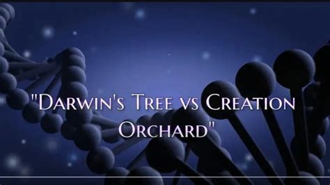 an ancestral tree of life or an orchard of kinds the creation club