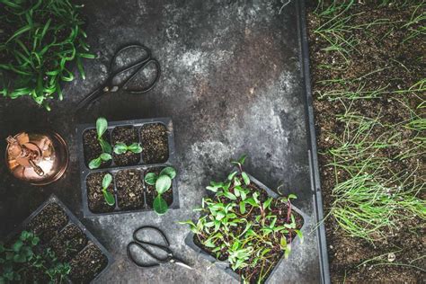 Украшения из натуральных Украшения из натуральных камней