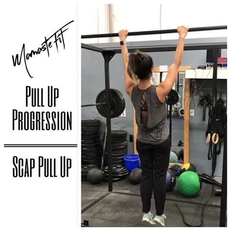 Scap Pull Ups Youtube