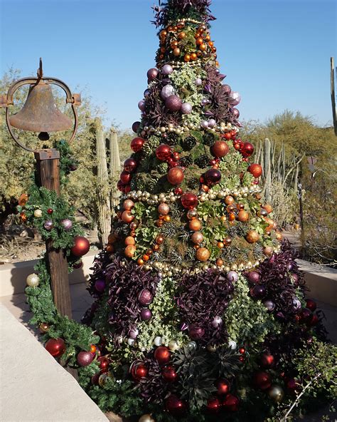 Desert Botanical Gardens Album On Imgur