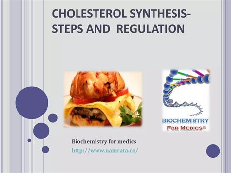Cholesterol Synthesis Steps And Regulation PPT