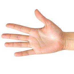 Body Parts 1 - French Vocabulary - Linguasorb