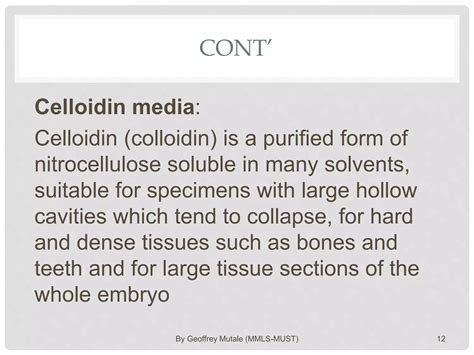 Embedding Processes Pptx Pptx