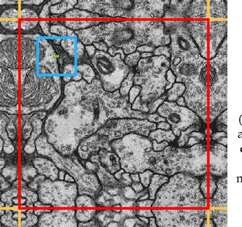 Figure 13 From Efficient Convolutional Neural Networks For Pixelwise Classification On