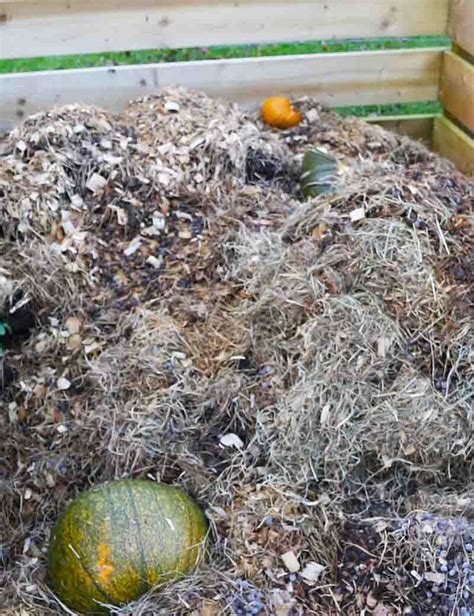 Everything You Need To Know About Composting Hay And Straw