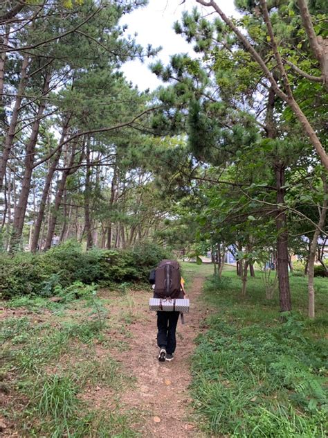 캠핑장비 백패킹 배낭 미스테리렌치and고싸머기어and지팩스 네이버 블로그