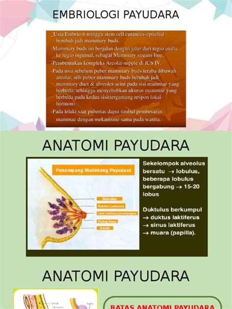 Anatomi Payudara Pdf