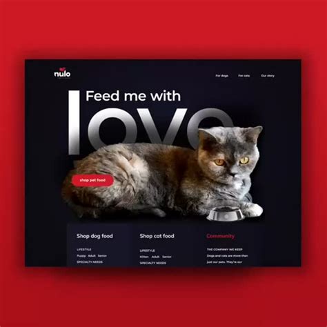 ux ui design creative uxui mockups prototyping visuals ankit