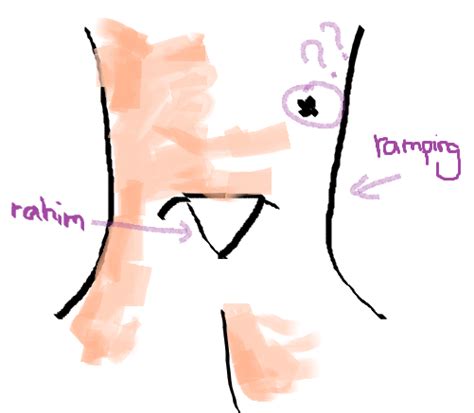 Rahsia Daya Xray HSG