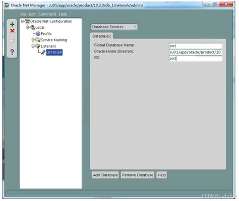 图文深入理解oracle network配置管理（二） oracle net manager csdn博客