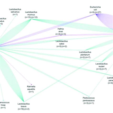 Comparative Analyses Of Common Colistin Resistant Bacterial Species